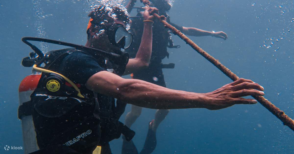Learn OW Diver Course E-learning in Koh Kood with PADI 5 Star Dive Center - Klook